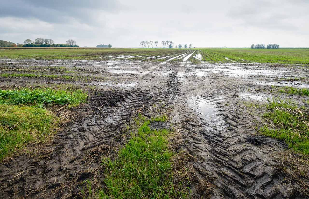 Agriculture Tyres for Harvest Season: How to Improve Load Capacity and ...